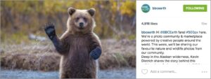 How to Do Instagram Takeovers in 7 Steps + Ideas & Examples